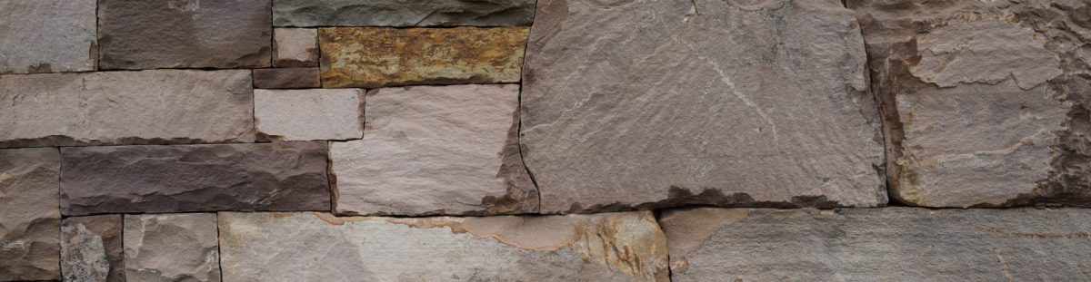 About Us – Tim Forrester Landscapes