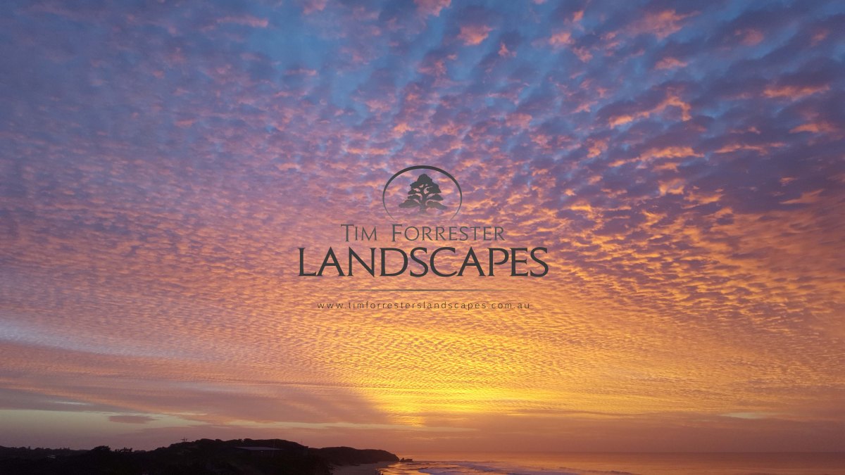 Tim Forrester Landscapes – Creative Landscaping Solutions
